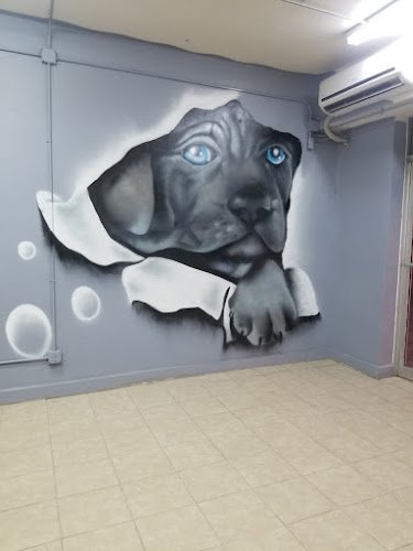 Barks & Bubbles - Spa Looker