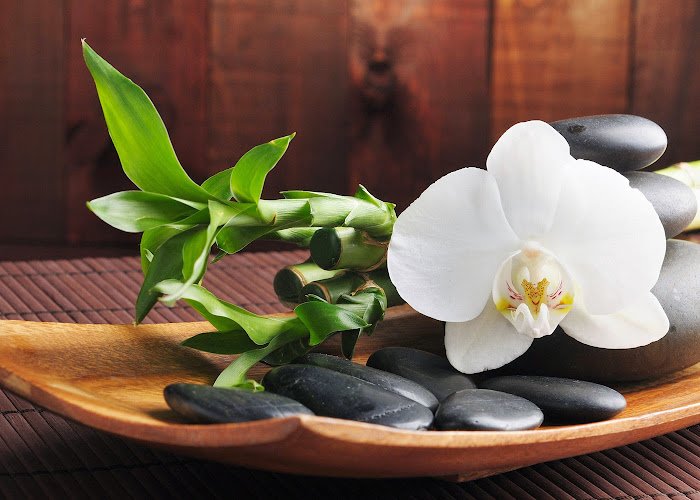 Body FX - Spa Looker