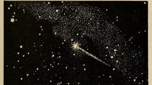 Clare Delaney Therapeutic Massage - Spa Looker