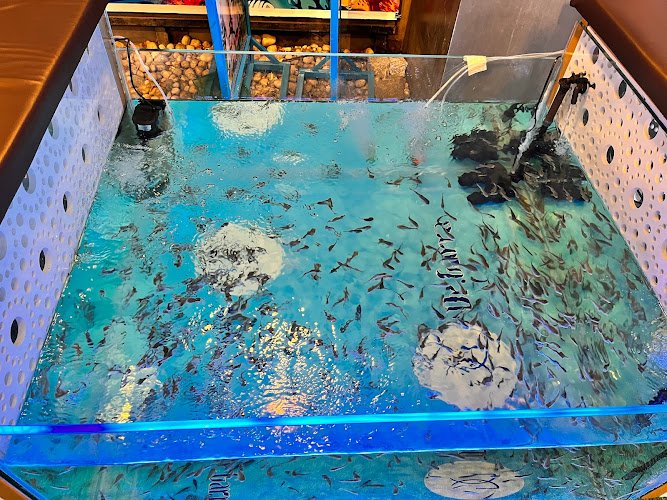 Dr.Garra Fish Spa - Spa Looker