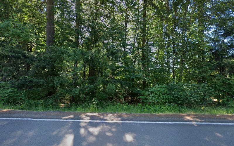 Evergreen Healthy Skin - Spa Looker