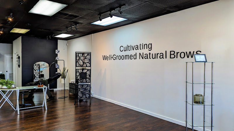 Shaneka Johnson: Brow Restoration - Spa Looker