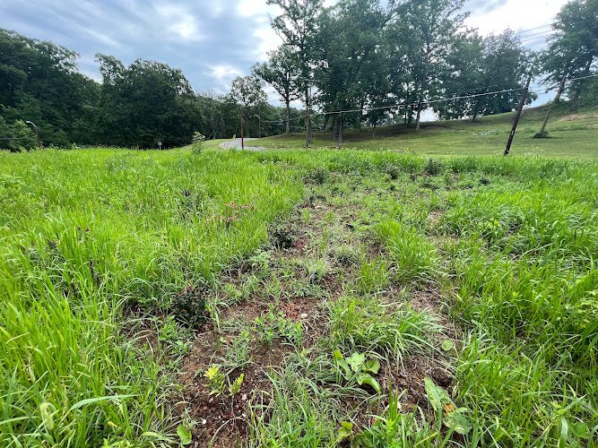 Single Marine Program - Spa Looker