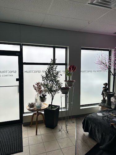 Spectrum 905 - Spa Looker